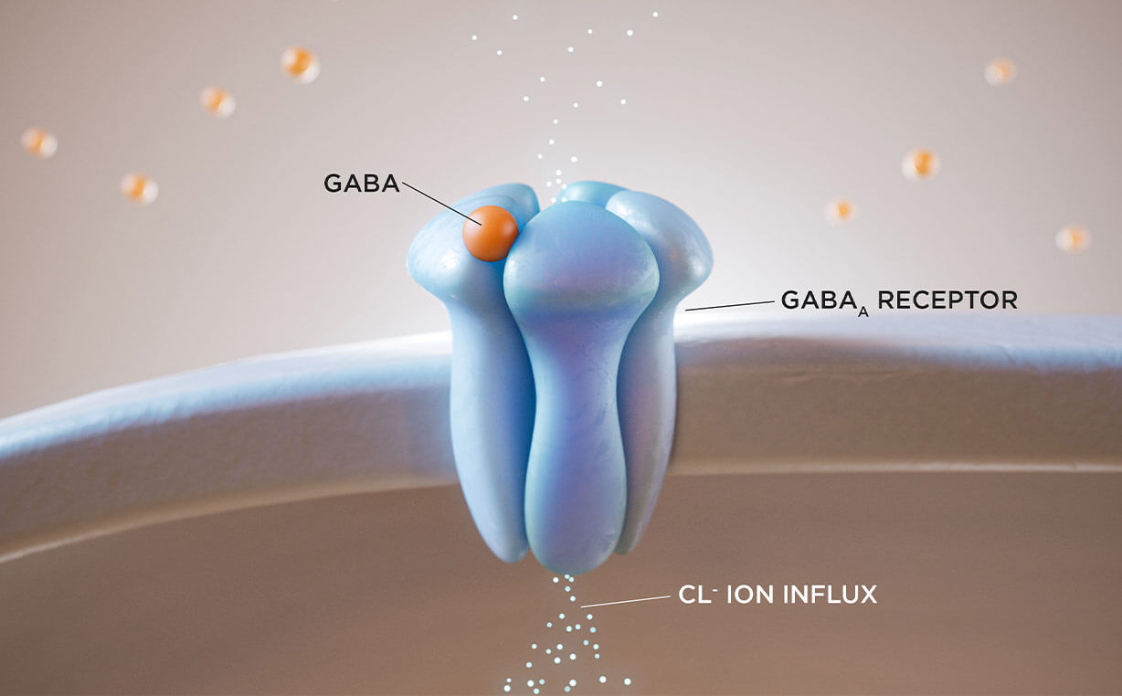 Pharmacology | ZTALMY® (ganaxolone) CV HCP